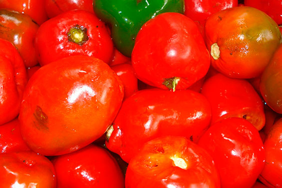 Rocoto - Fructus Terrum