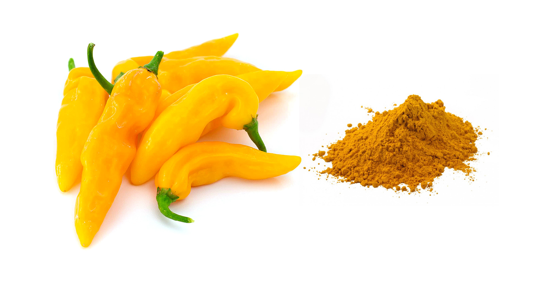 Fructus Terrum Natural Ingredients - Home